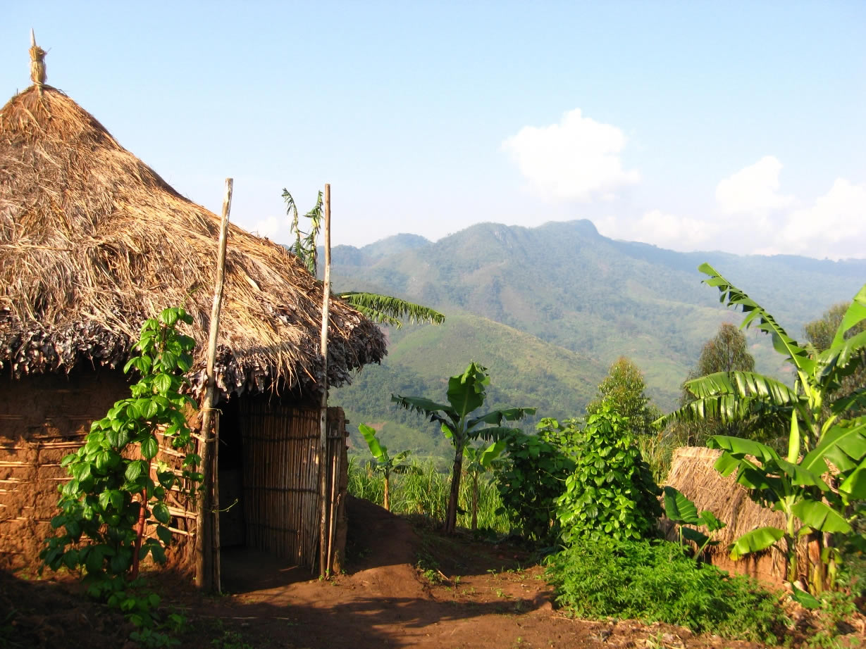 Democratic Republic Congo